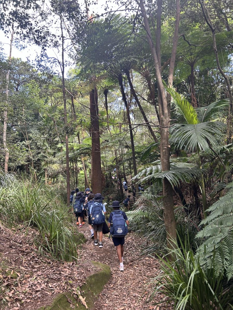 Year 3 - Stage 2 Term 2