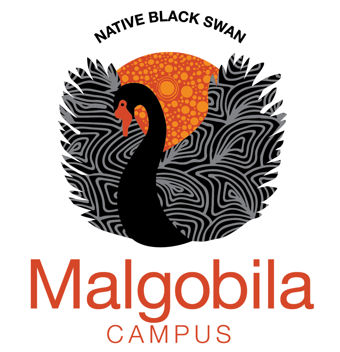 Dragon e-newsletter - Issue 13