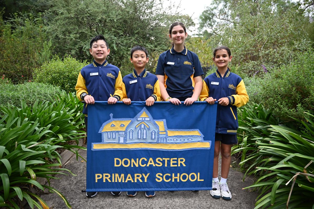 DPS Download - Issue 13