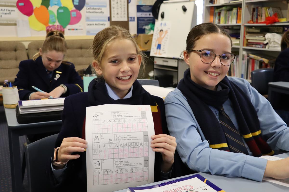 The Hamilton and Alexandra College Newsletter - Issue 15