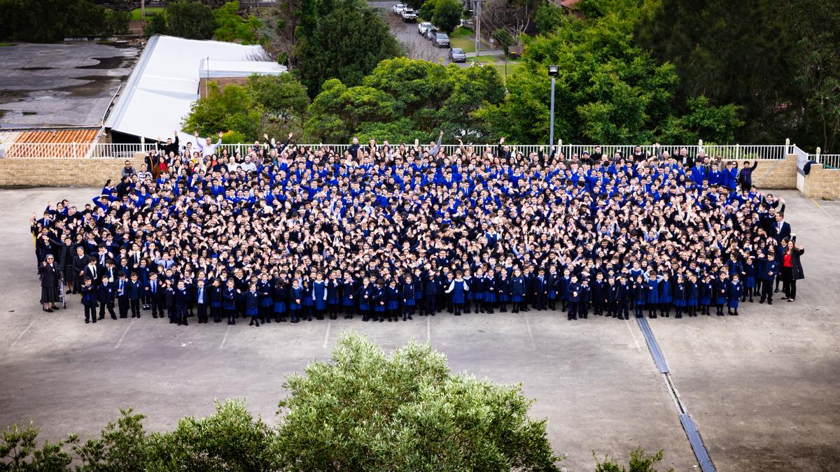 The MCHF Newsletter - March 2025