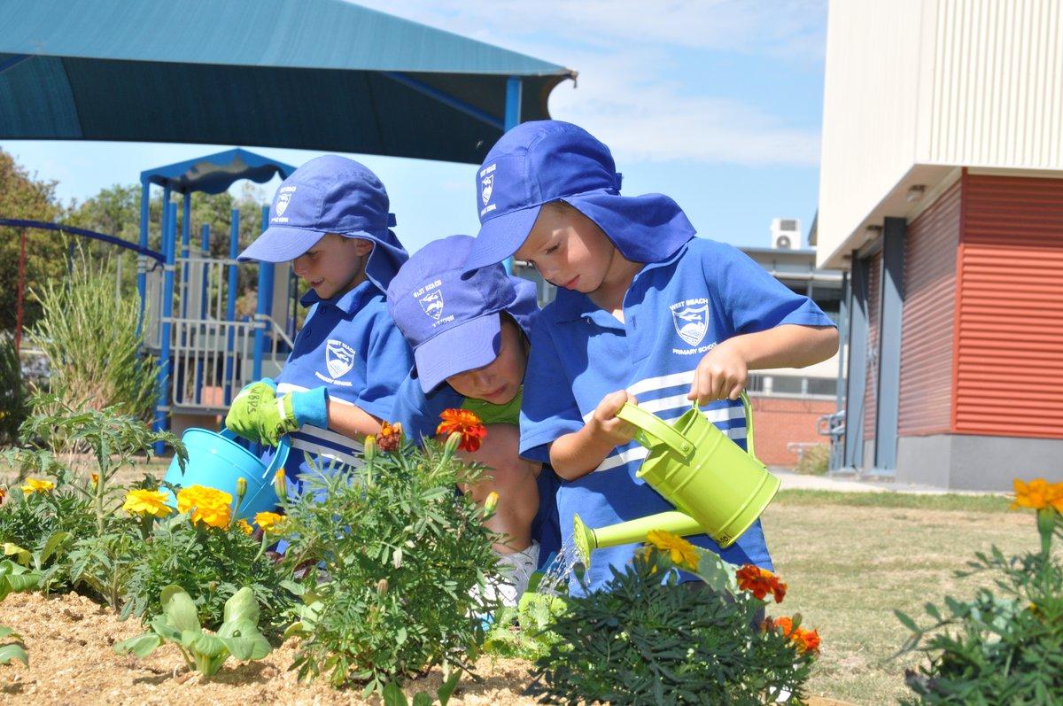 West Beach Primary School - Issue 3