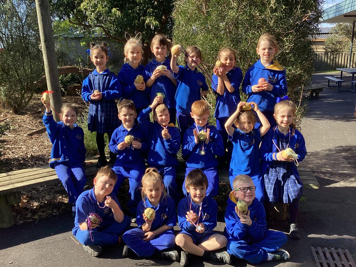 Somerville Primary School Newsletter - Issue 12