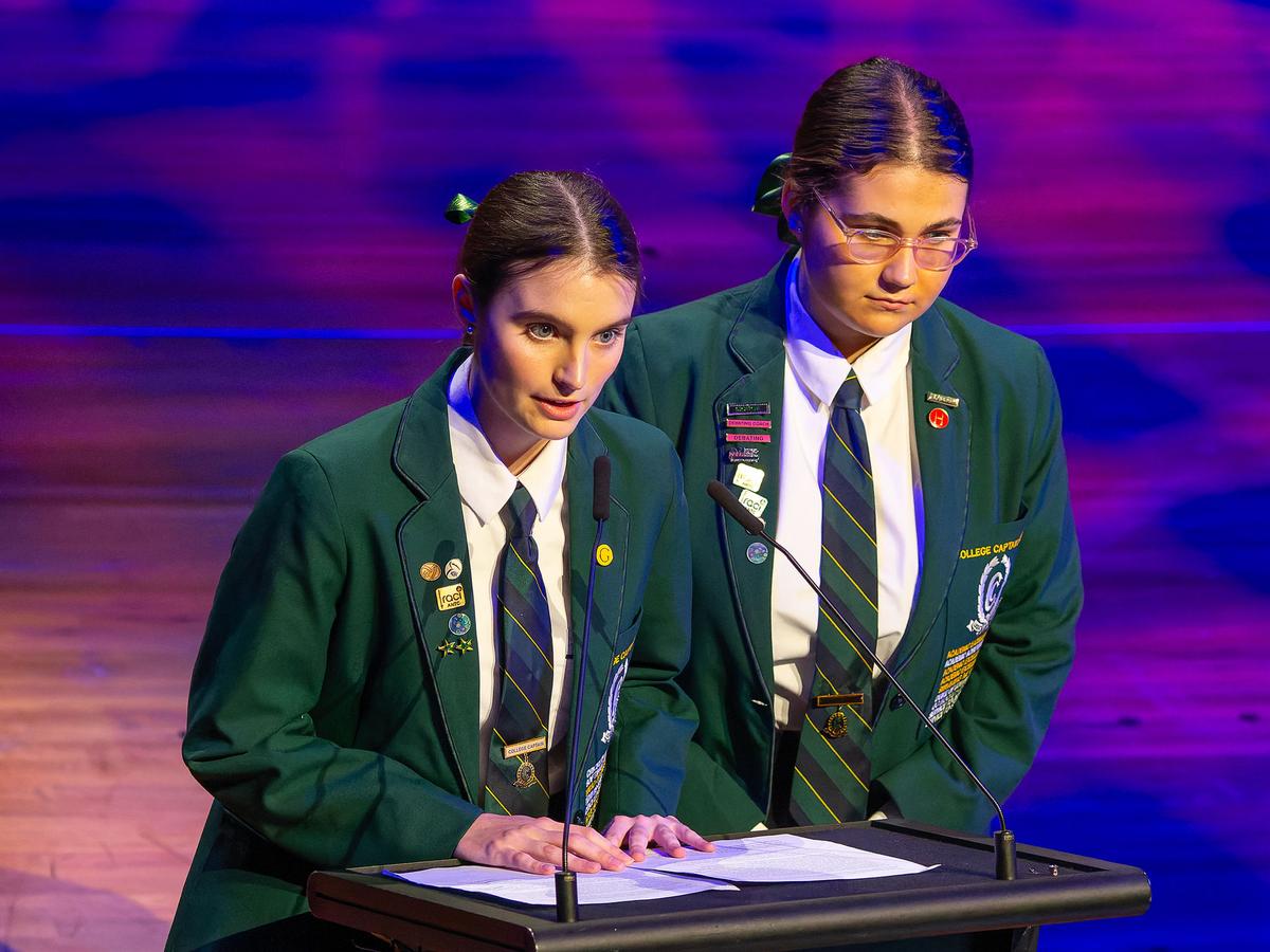 The Collective - Term 4, Week 7