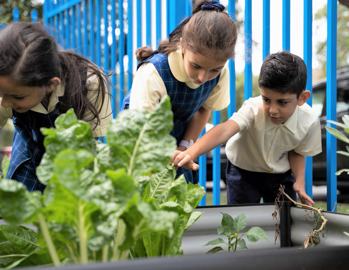 The MCHF Newsletter - May 2024