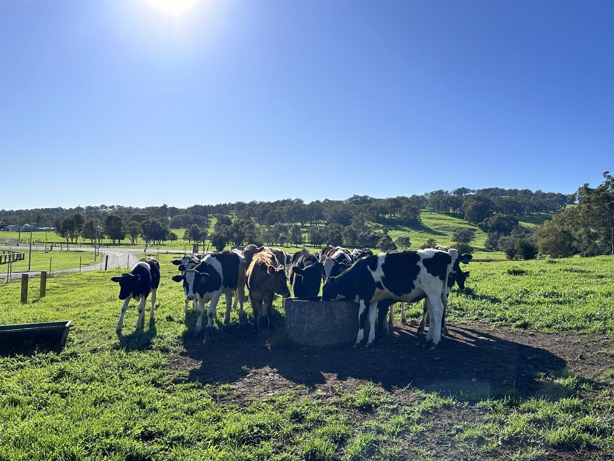 HARVEY AG WEEKLY WRAP-UP - Issue 27