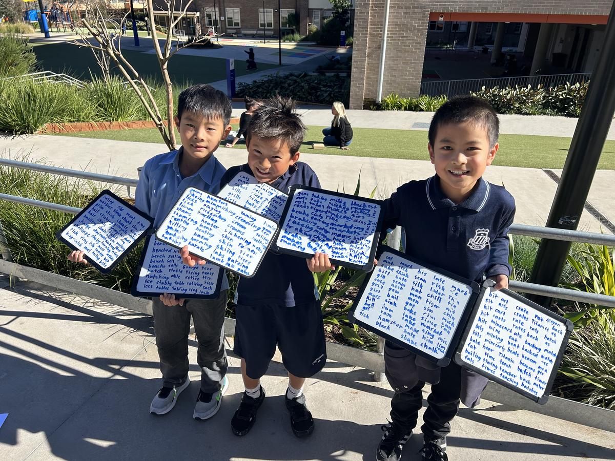 Year 3 - Stage 2 Term 3