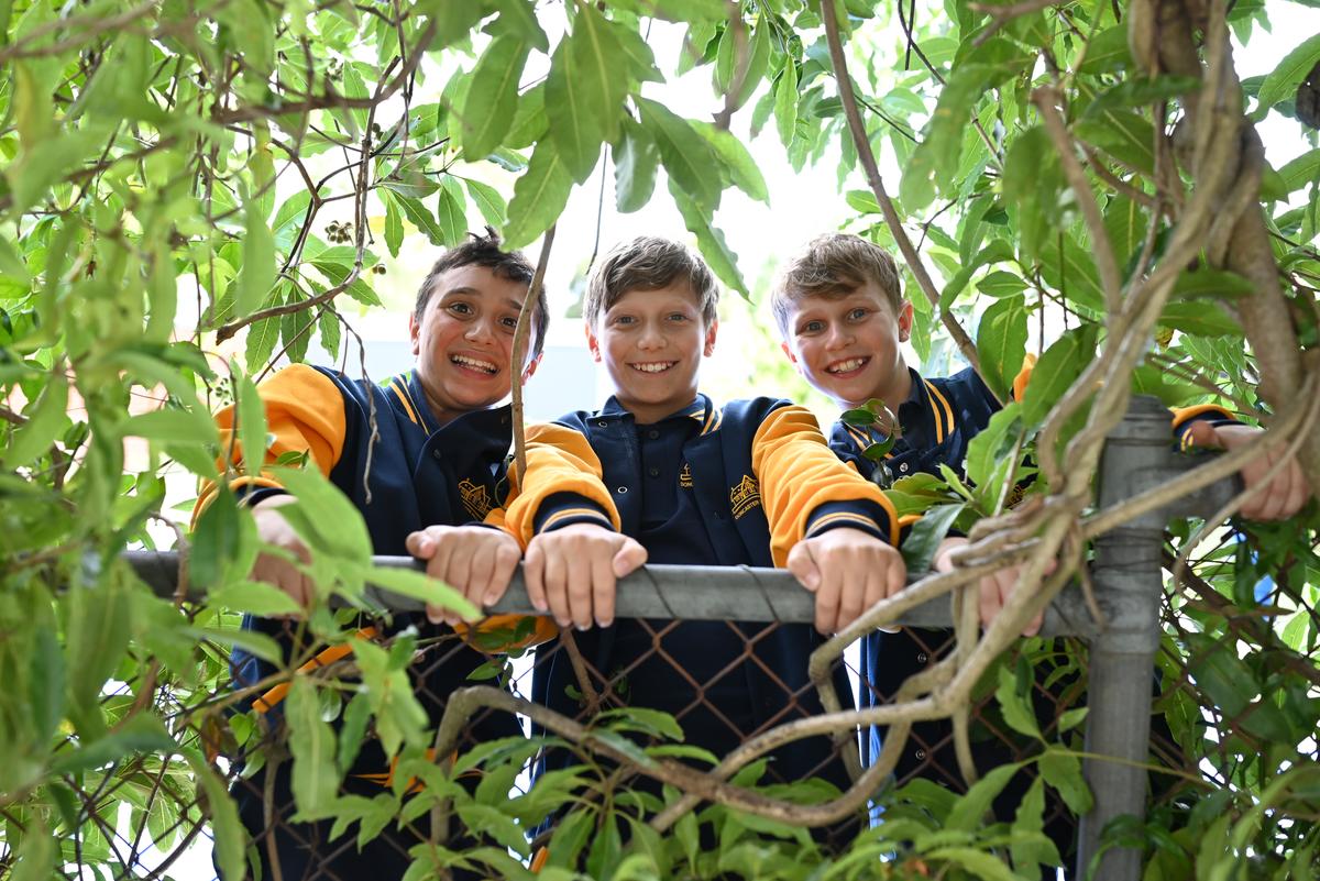 DPS Download - Issue 20