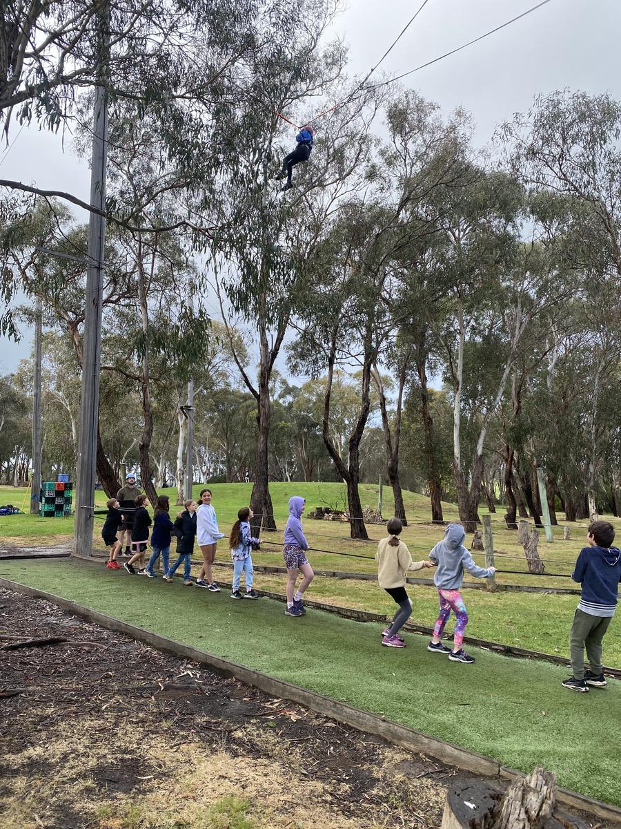 Derinya News - Issue 5