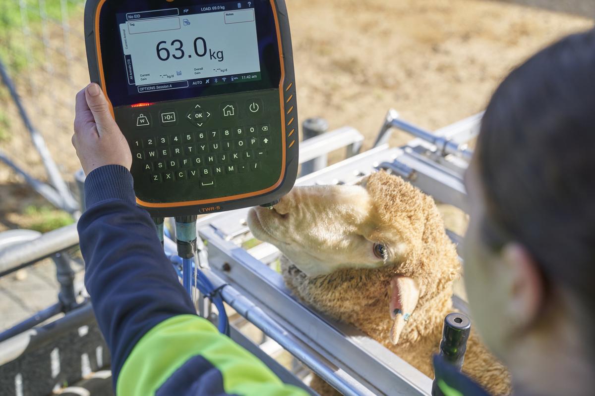 HARVEY AG WEEKLY WRAP-UP - Issue 6