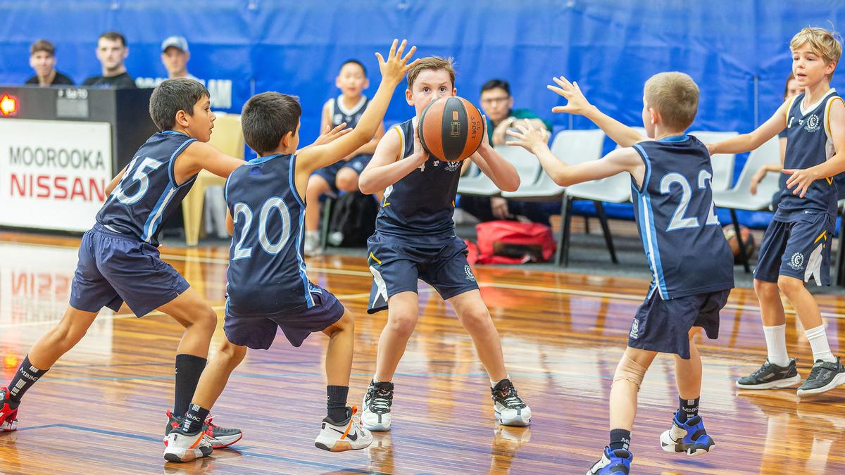 The Collective - Term 4, Week 6