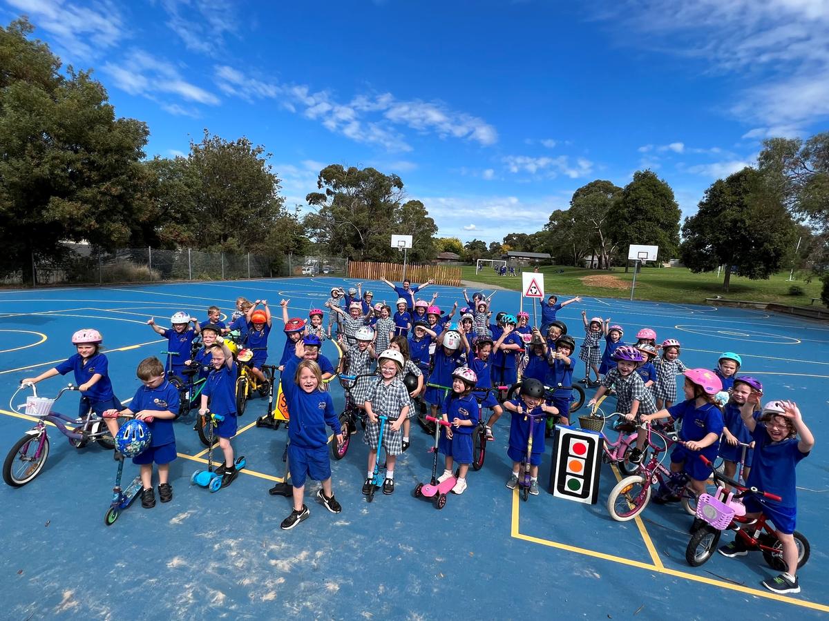 Somerville Primary School Newsletter - Issue 4