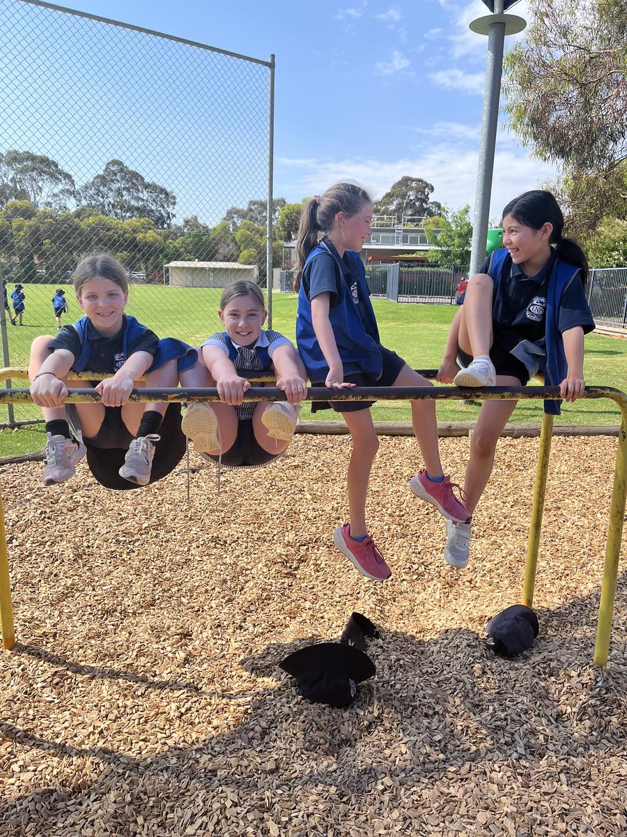 LNPS OSHC - LNPS OSHC Newsletter T4 W9