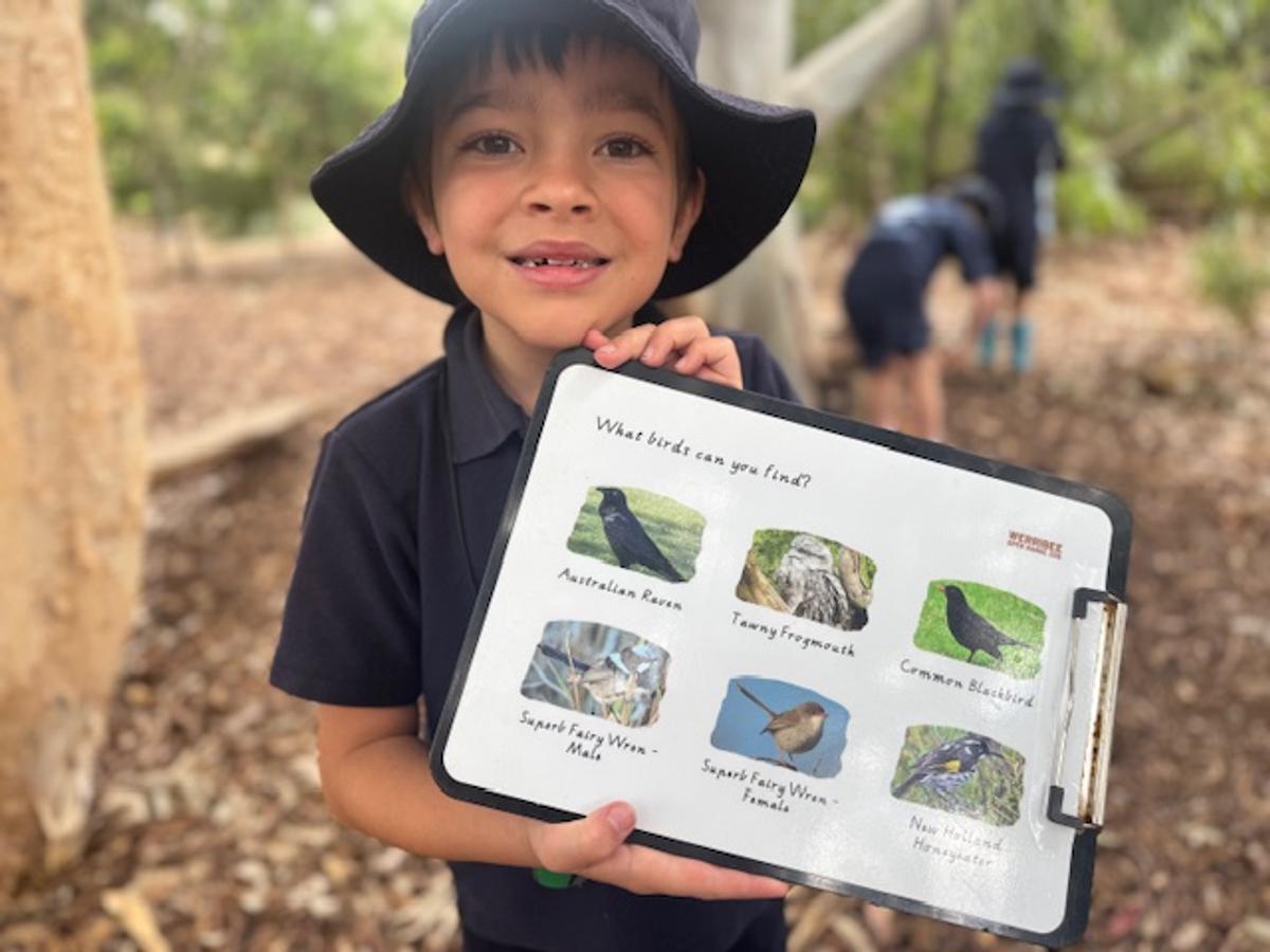 Barwon Heads Primary School Teaching And Learning Update - Teaching And ...