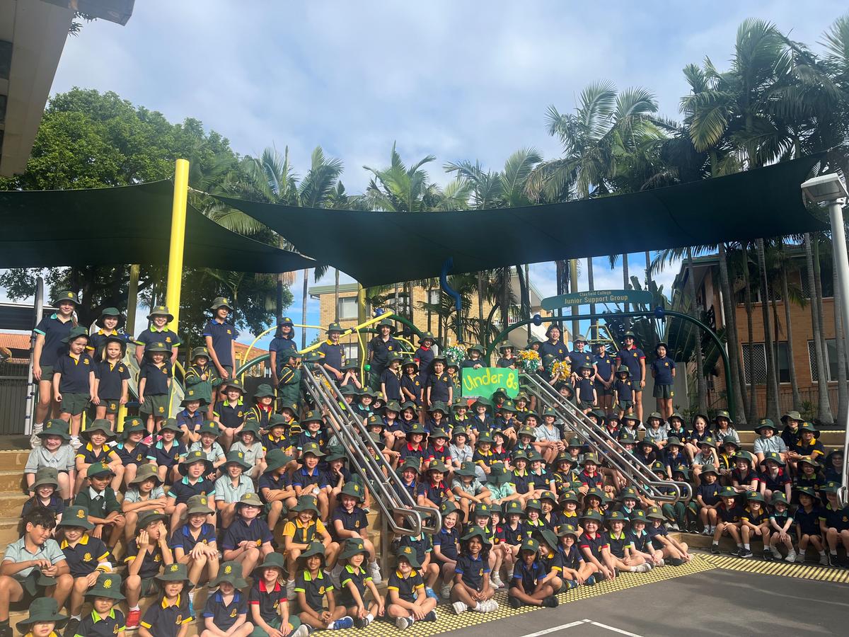 The Collective - Term 2, Week 6