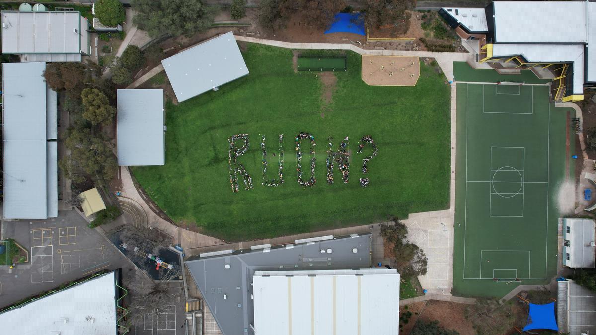 Inside Ivanhoe - Issue 29