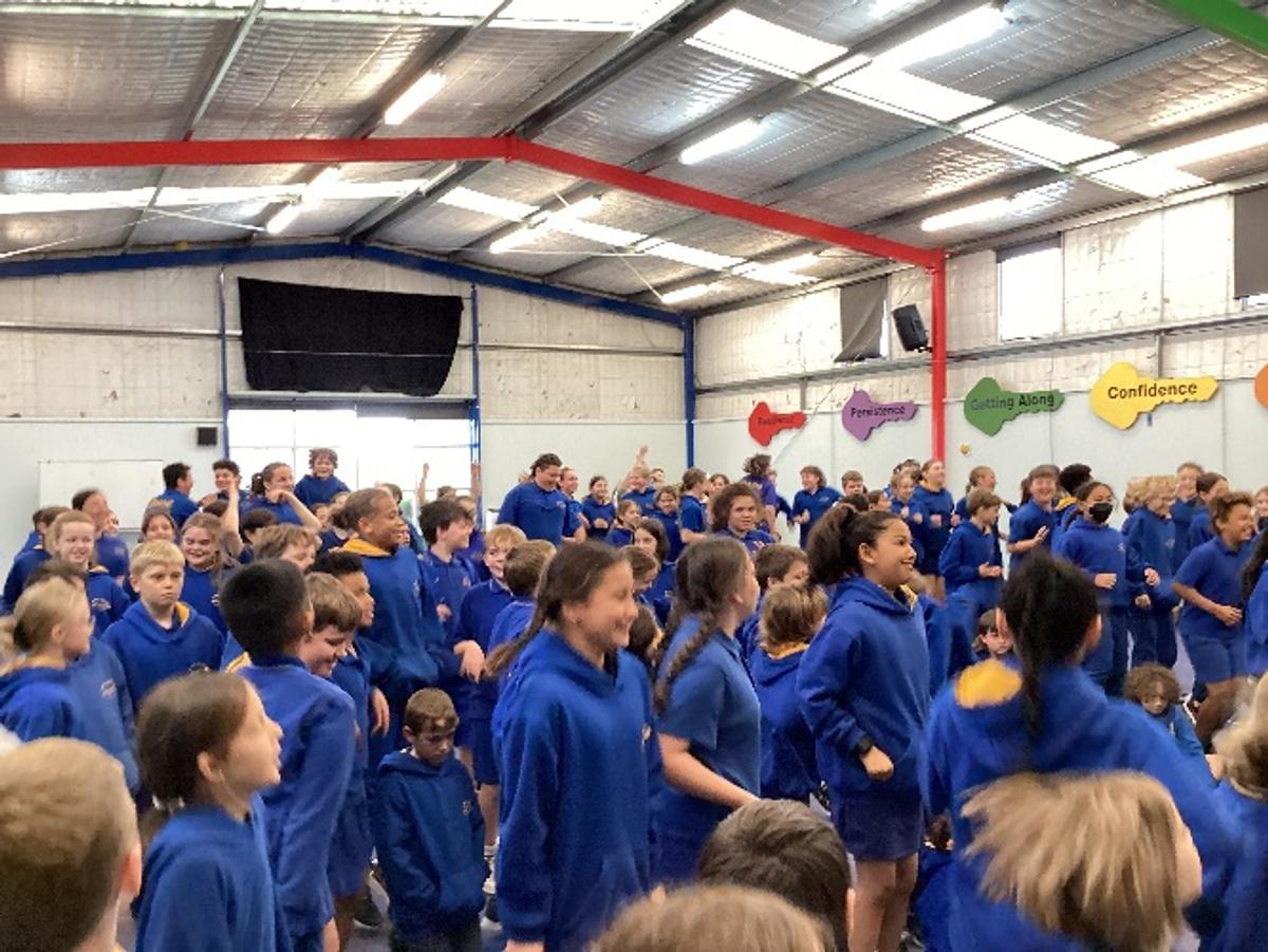 Somerville Primary School Newsletter - Issue 16