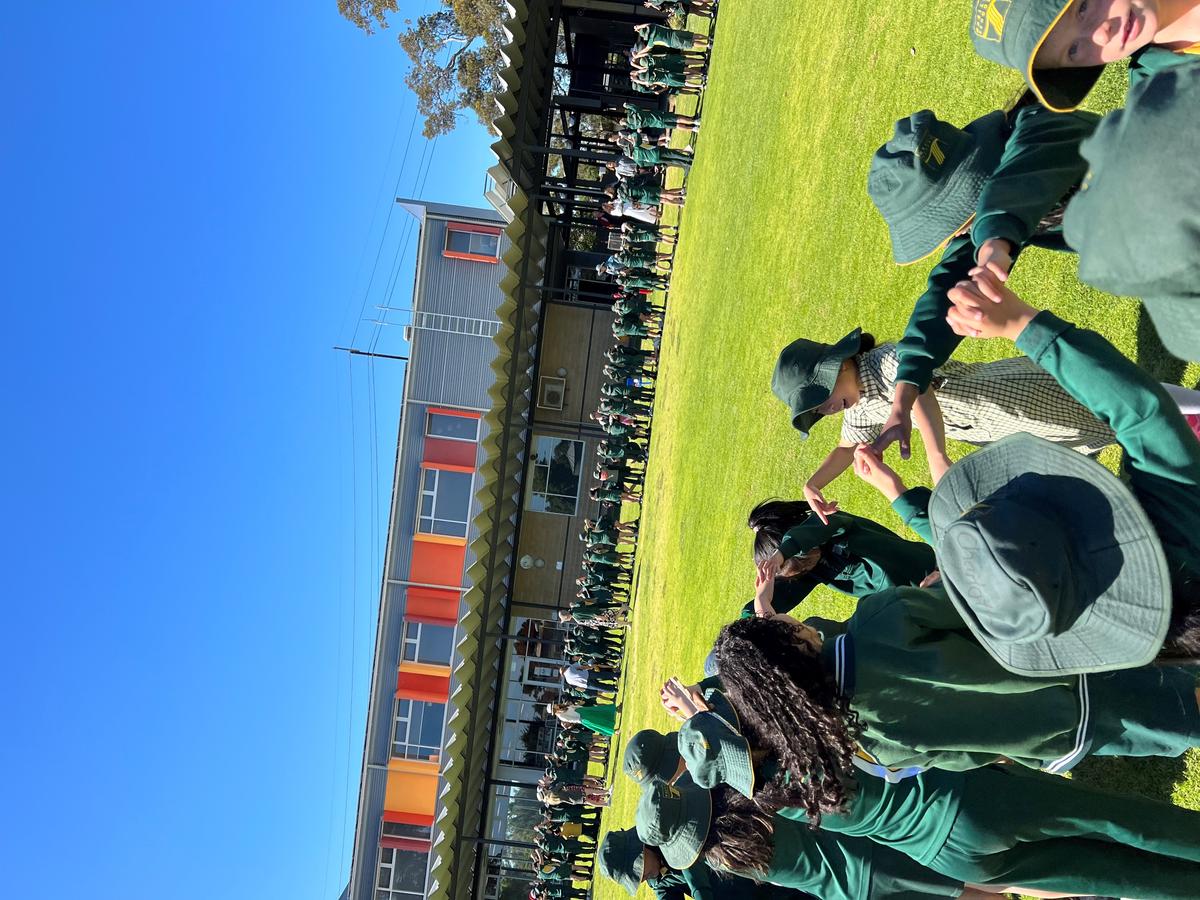 The Magill School Newsletter - Issue 3