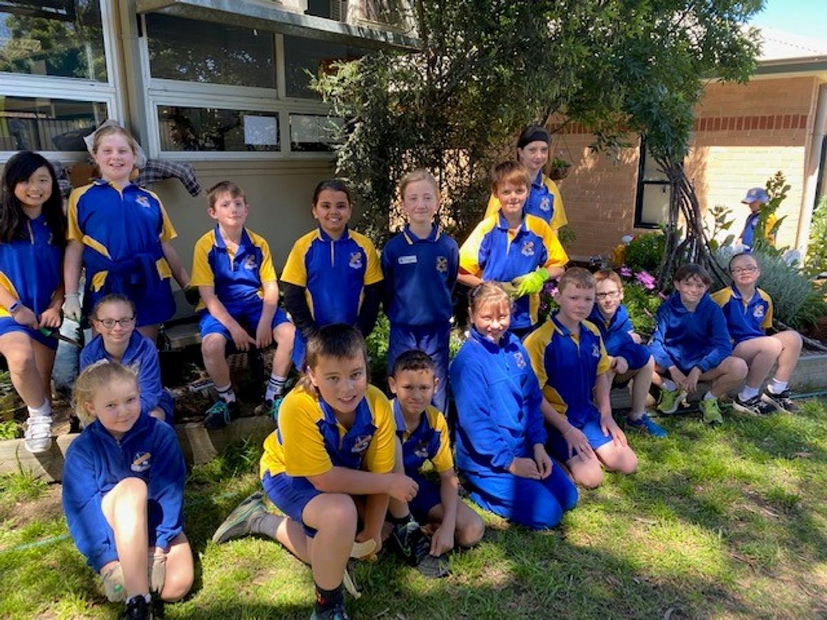 Eglinton Public School Newsletter - Issue 4