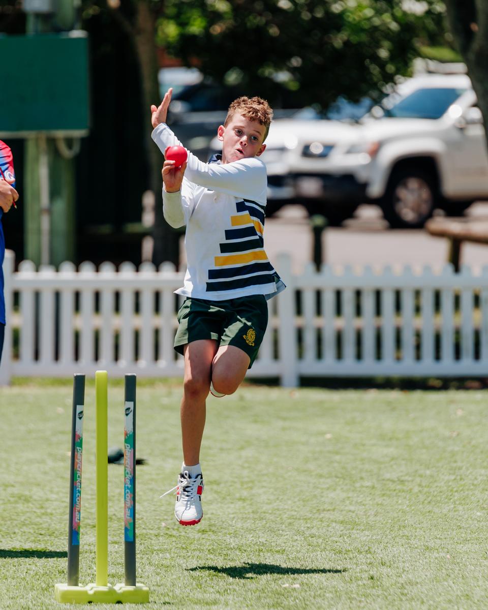 The Collective - Term 4, Week 6