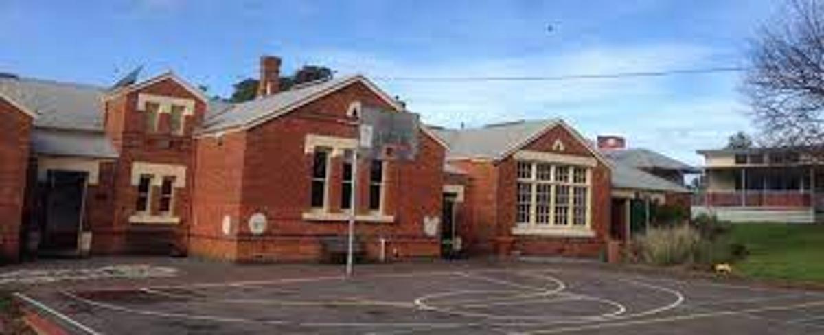 Taradale Primary School Newsletter - Issue 1