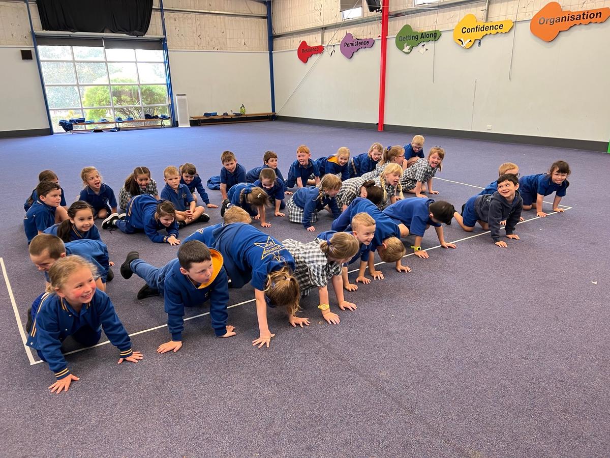 Somerville Primary School Newsletter - Issue 3