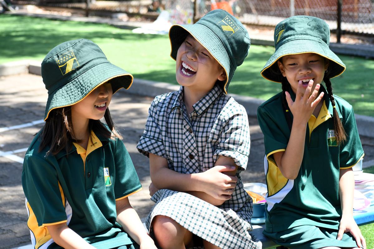 The Magill School Newsletter - Issue 8