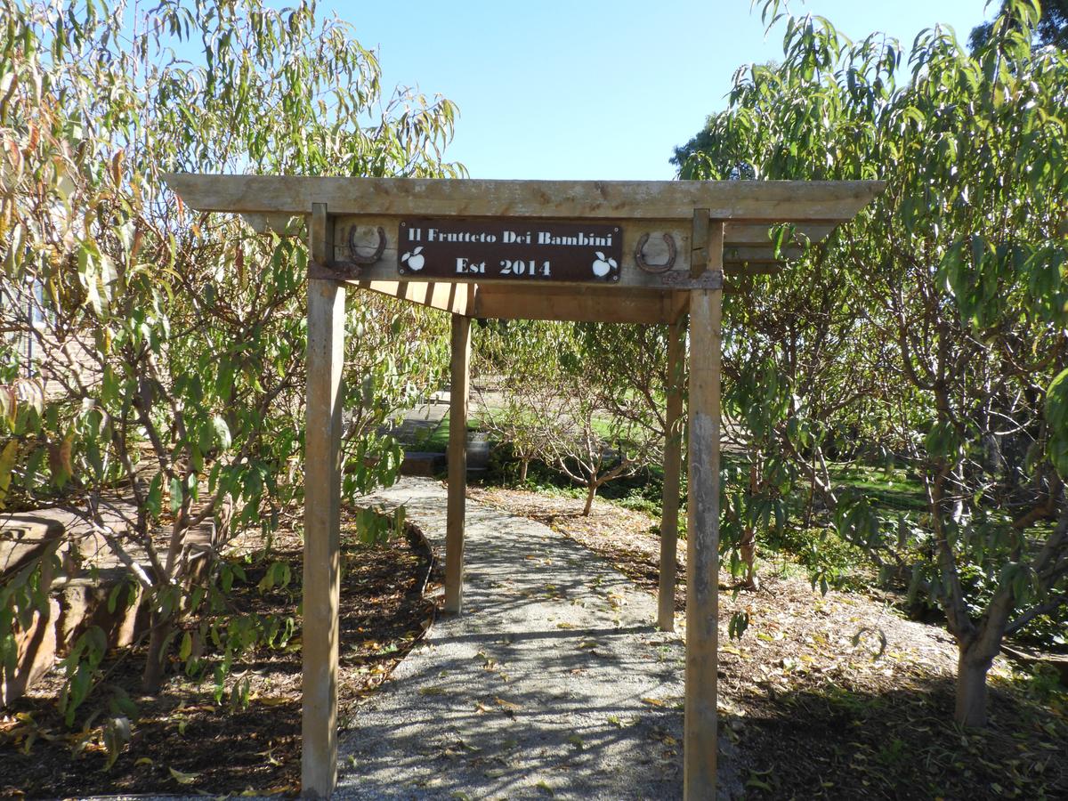 Rowville Primary School Newsletter - Issue 3