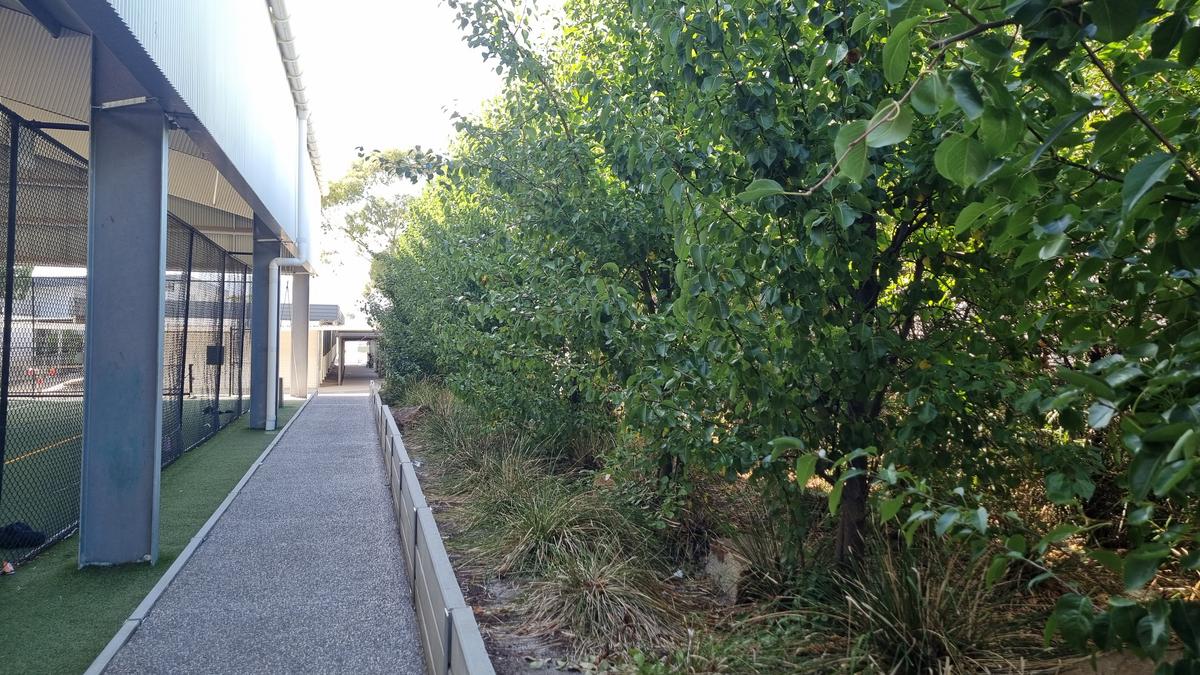 Wantirna College Newsletter - Issue 4