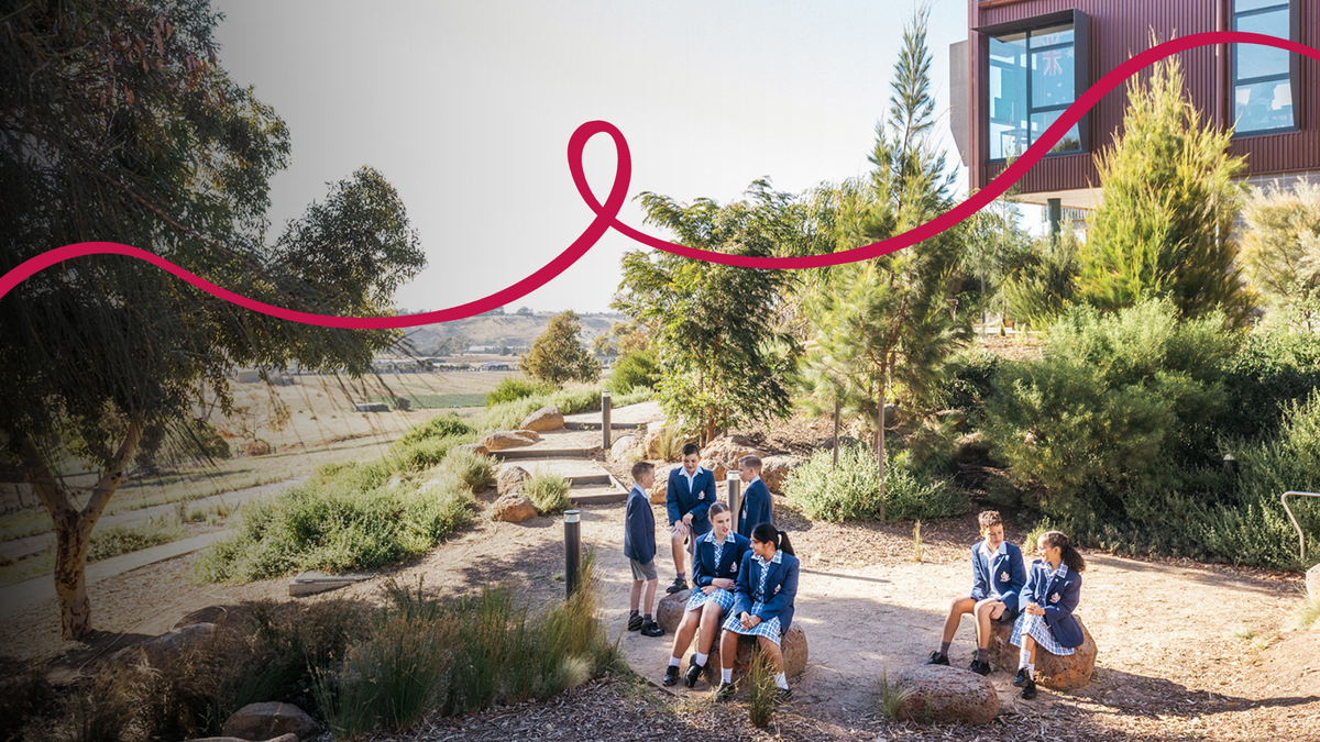 Staff In The Know - 2025 - Term 2, Week 7B