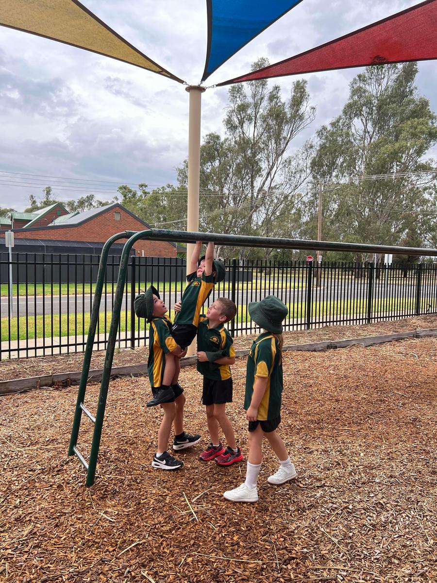 Numurkah Primary School - Issue 3