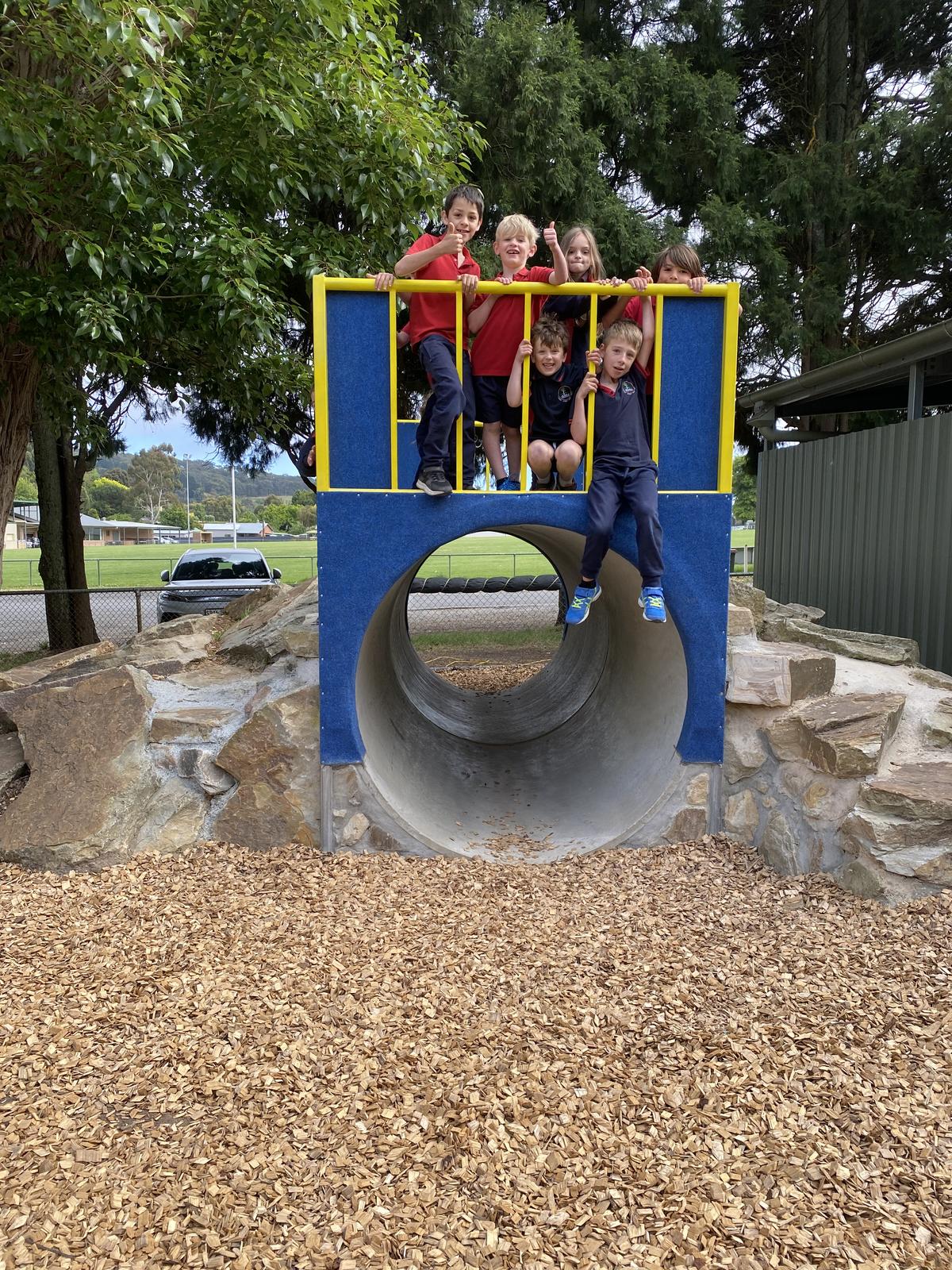 Uraidla Primary School newsletter - Issue 17