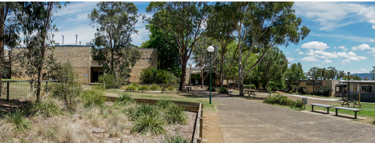 Armidale Secondary College Newsletter - Issue 1