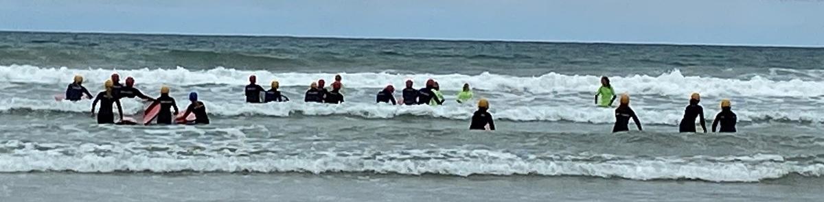 WHSC Newsletter - Issue 1