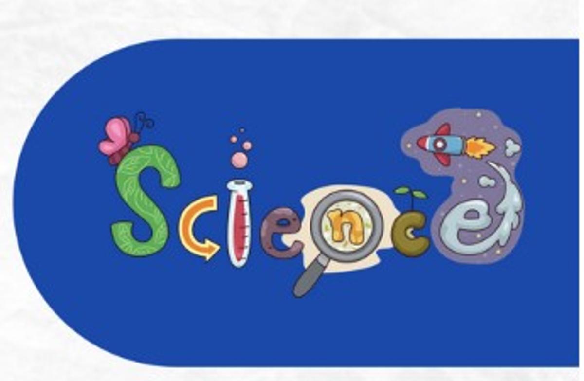 DPS Download - Issue 13