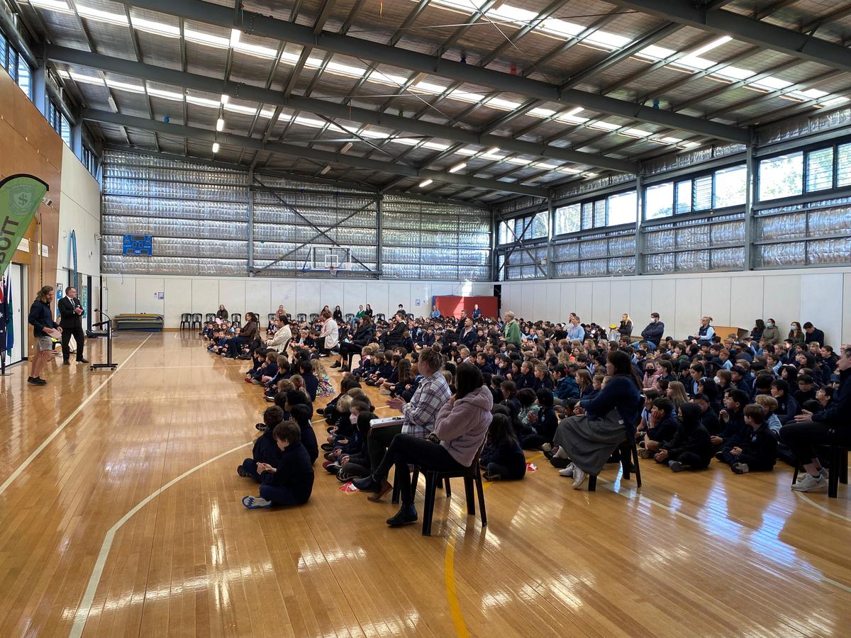 Inside Ivanhoe - Issue 33