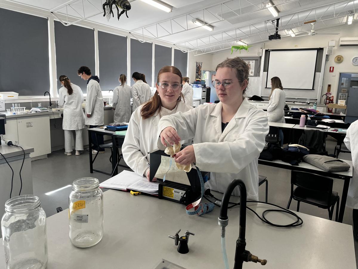 Sandringham College News - Issue 4 | Term 2 2025