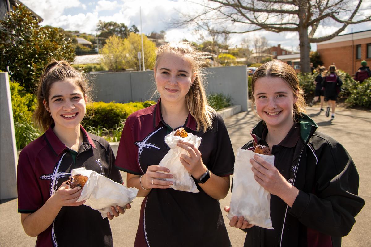 The Herald - Issue 14