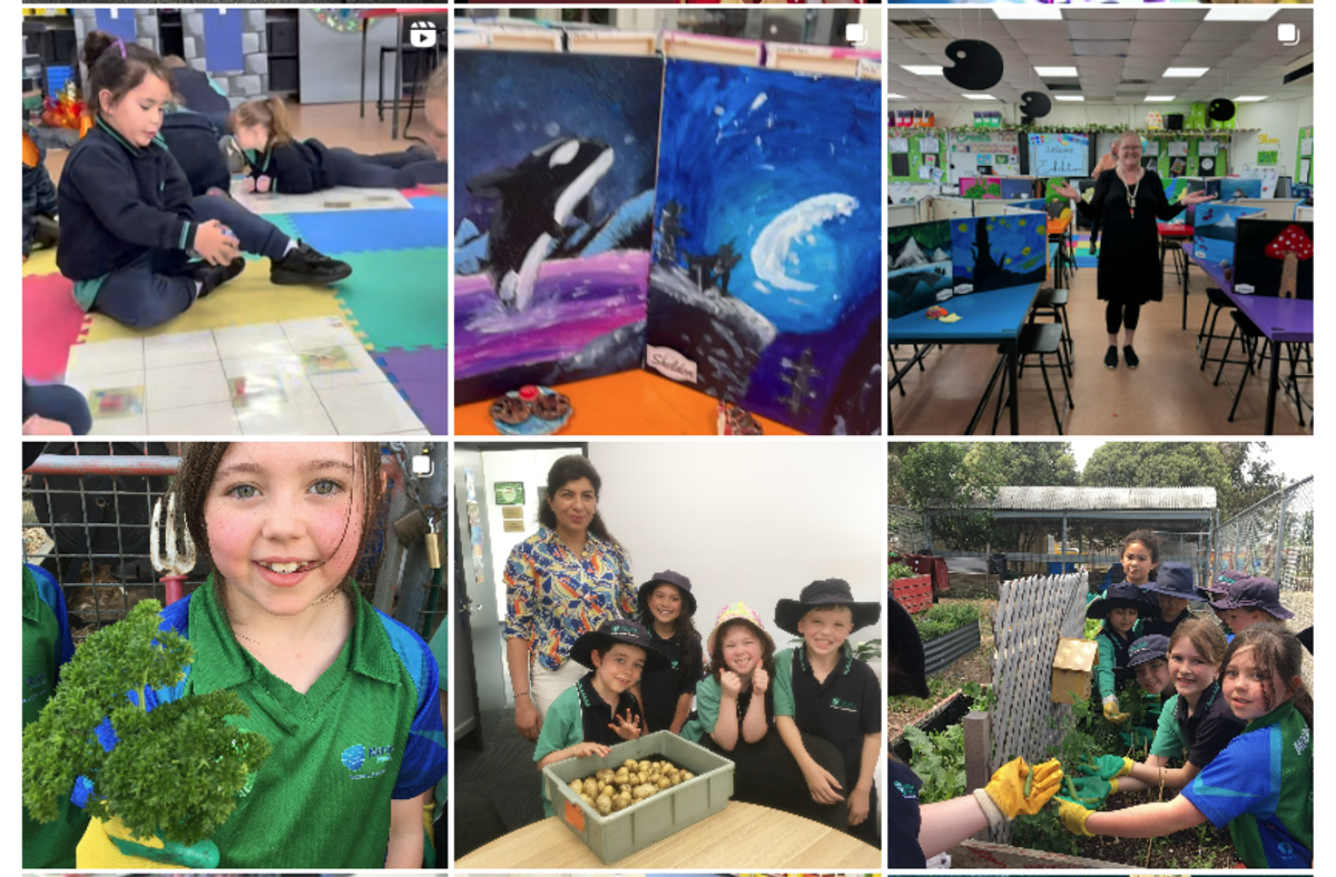 Maramba Flyer - Term 1 Issue 1