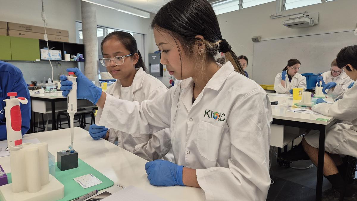 MECS Matters - Newsletter 4, Term 1 2025