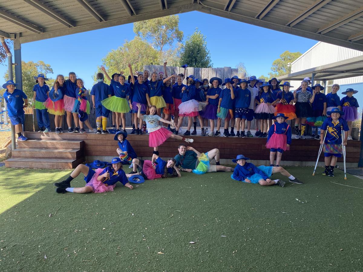 Somerville Primary School Newsletter - Issue 2