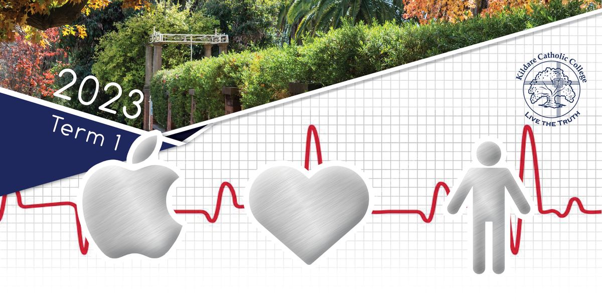 KCC Publication - Issue 3