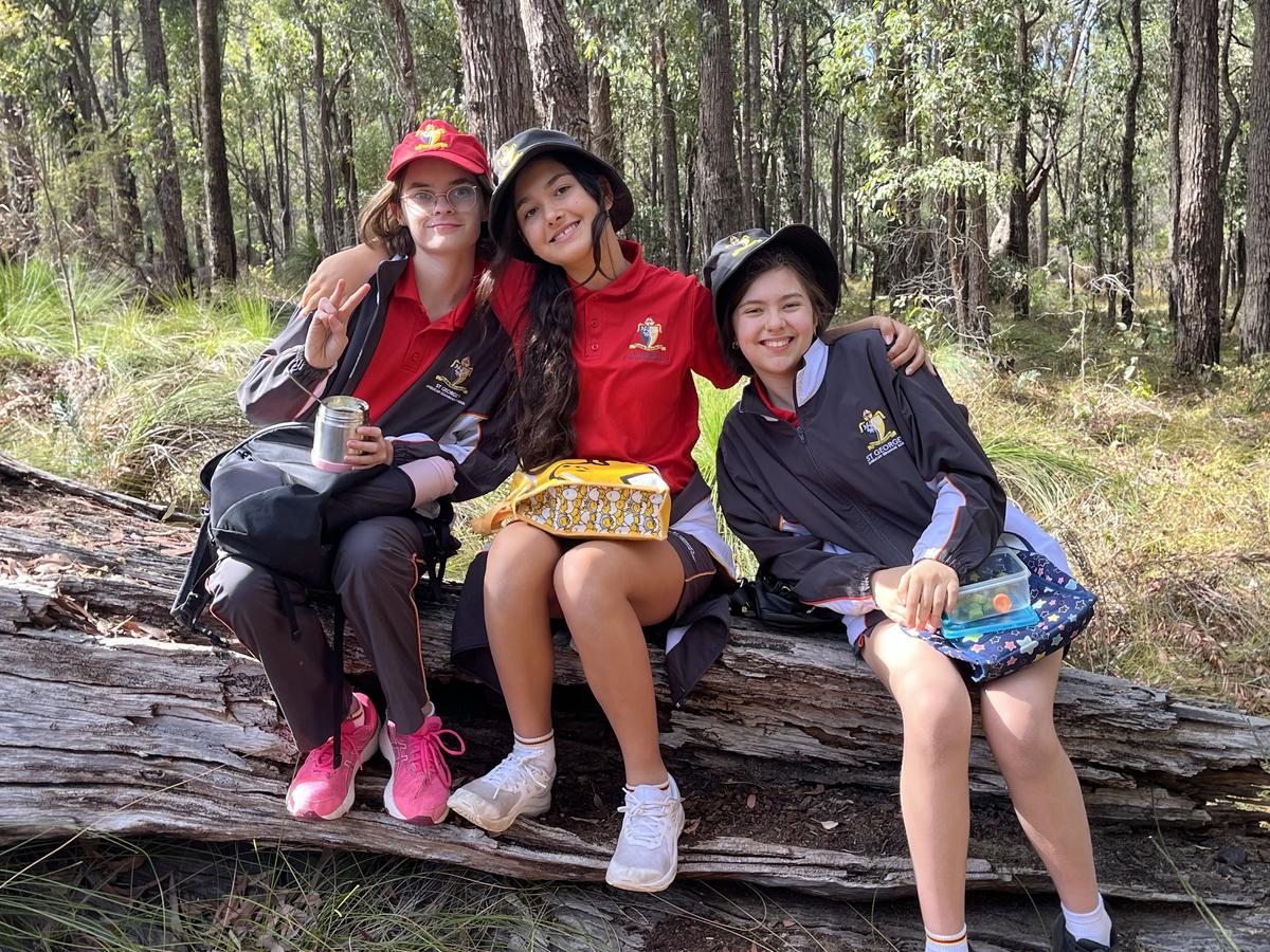 The Dragon - Issue 5