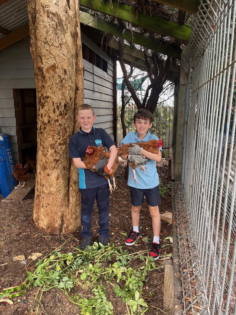 Skye Primary School Newsletter - Issue 21