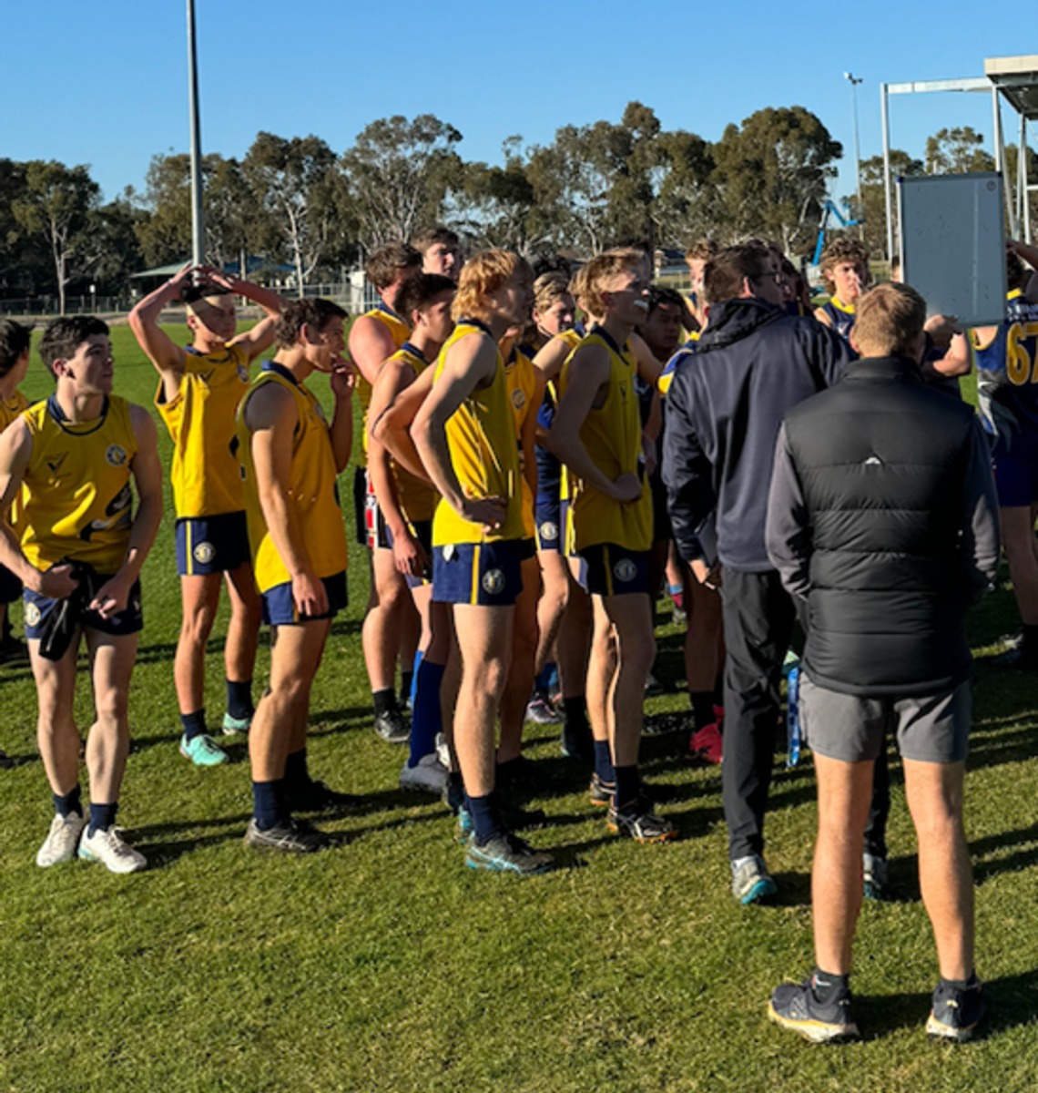 Horsham College Newsletter - Issue 4