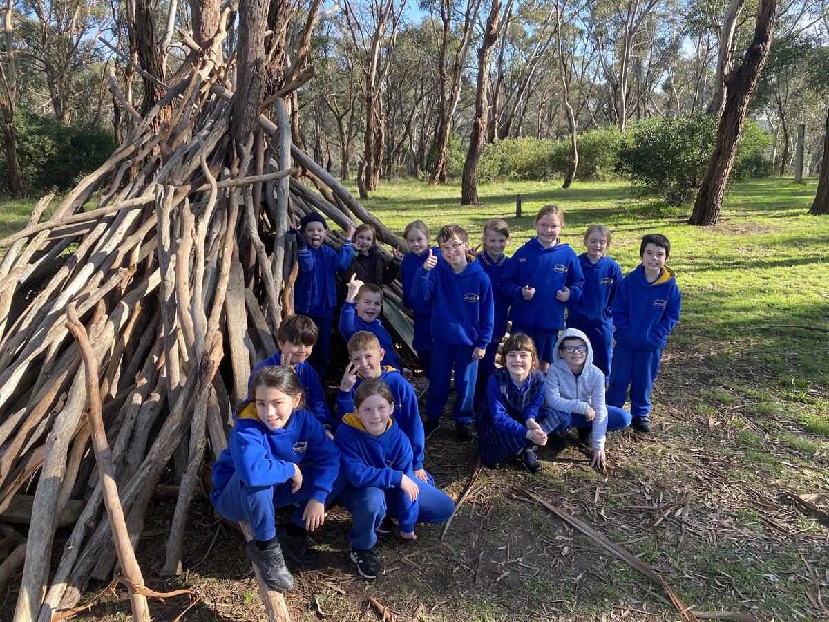 Somerville Primary School Newsletter - Issue 12