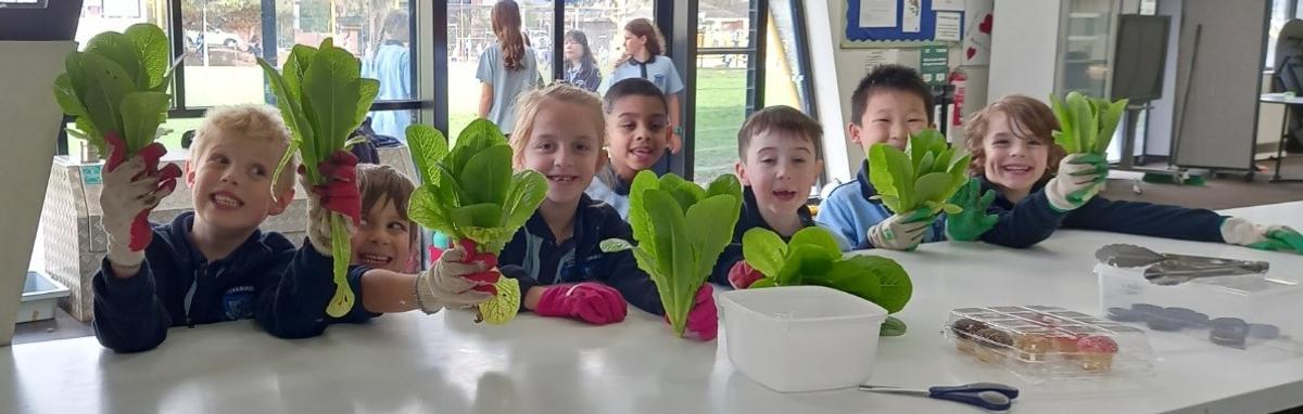 Inside Ivanhoe - Issue 18