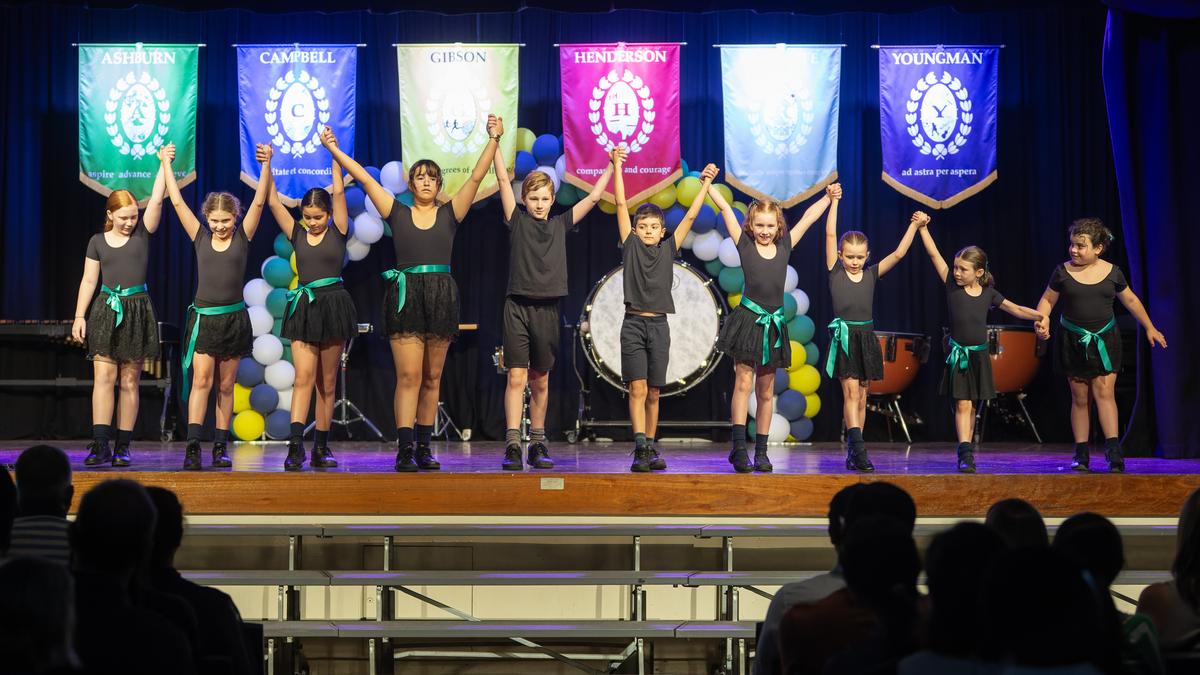 The Collective - Term 4, Week 6