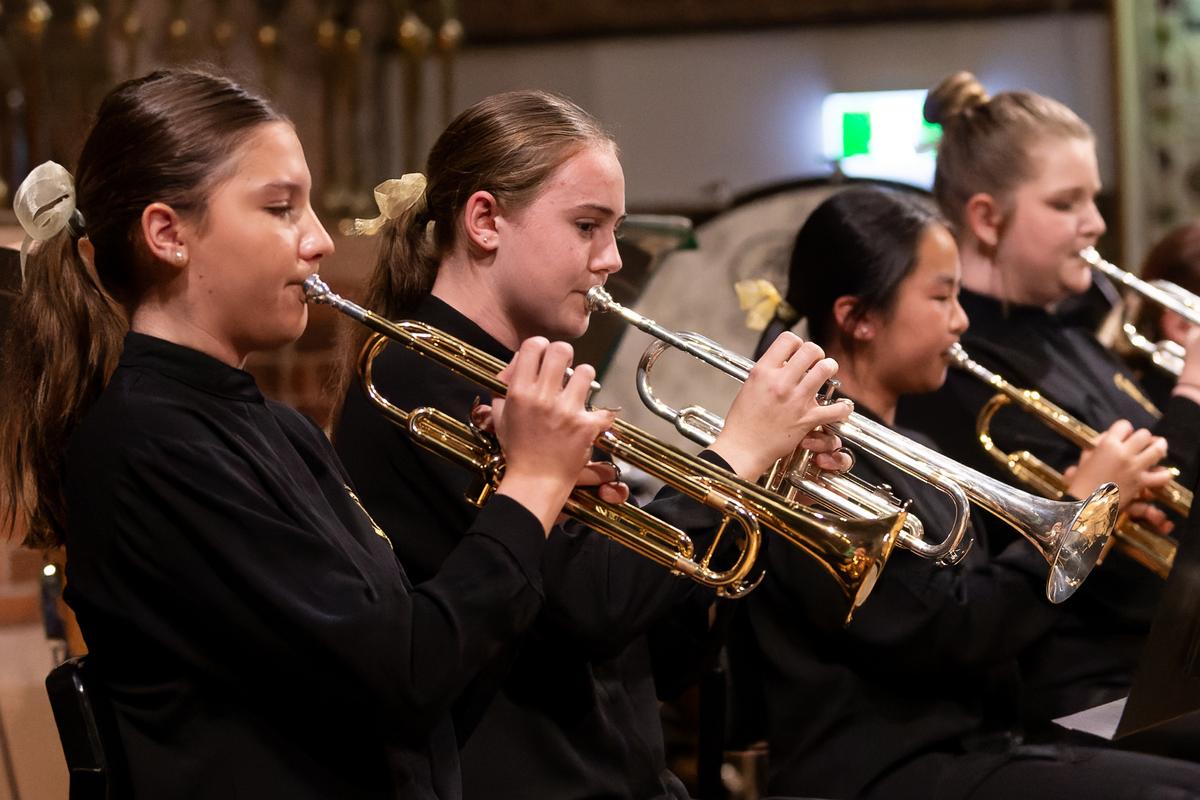 The Collective - Term 4, Week 1