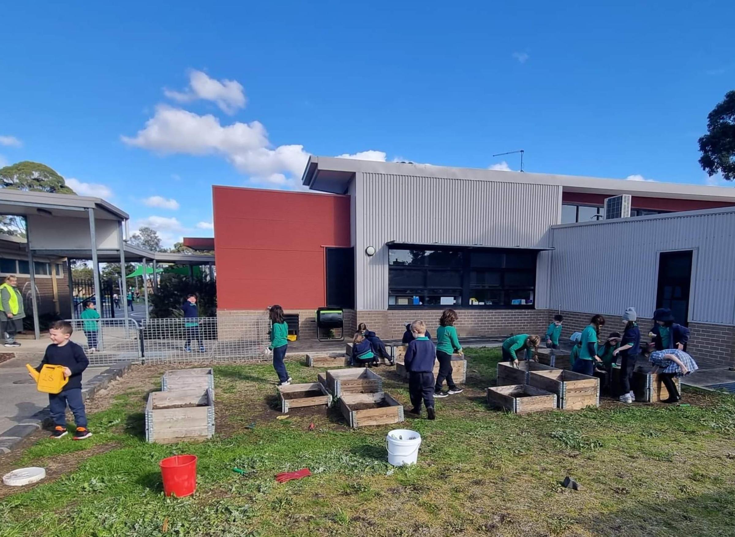 Albany Rise Primary School Newsletter - Issue 3